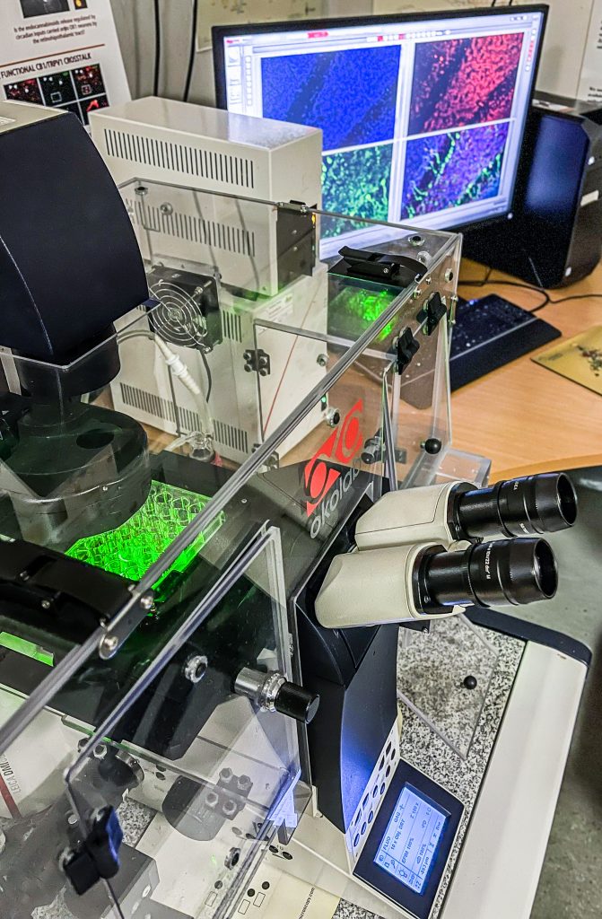 Microscopy & Imaging – ICB